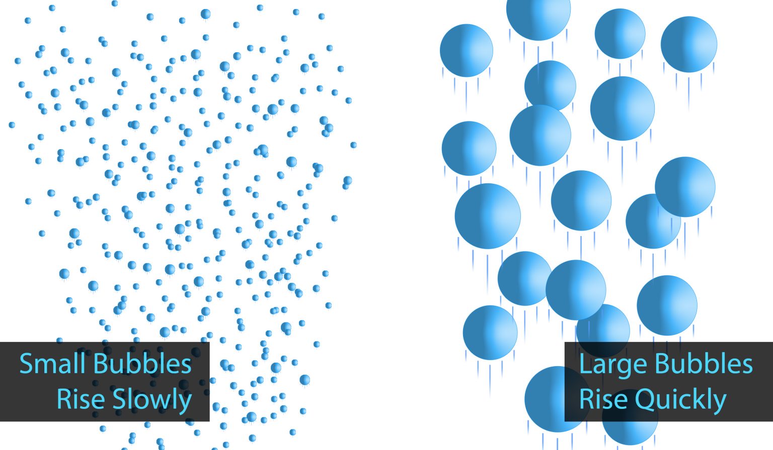 Why bubble size matters – Sacramento Koi