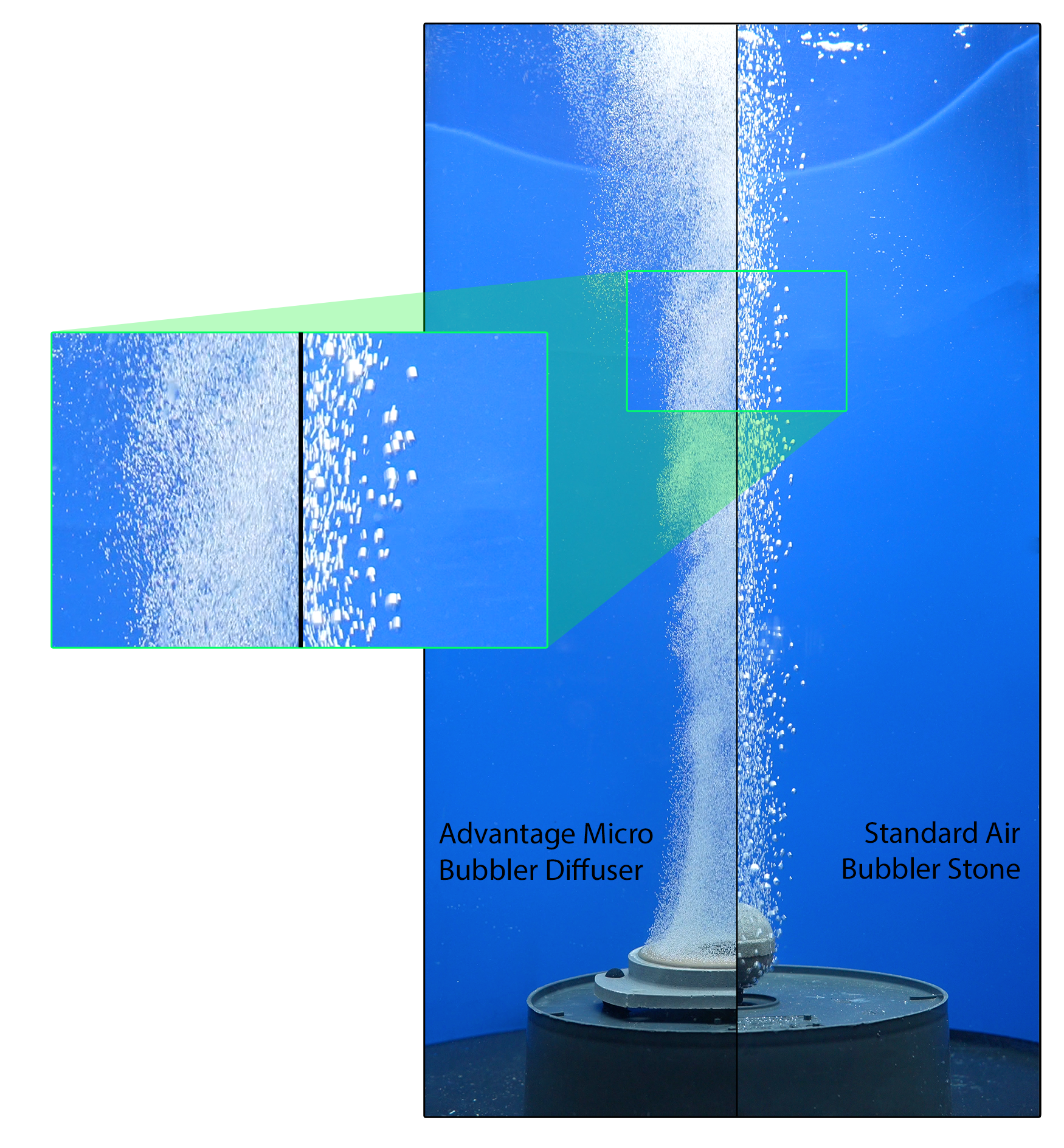 Why bubble size matters – Sacramento Koi