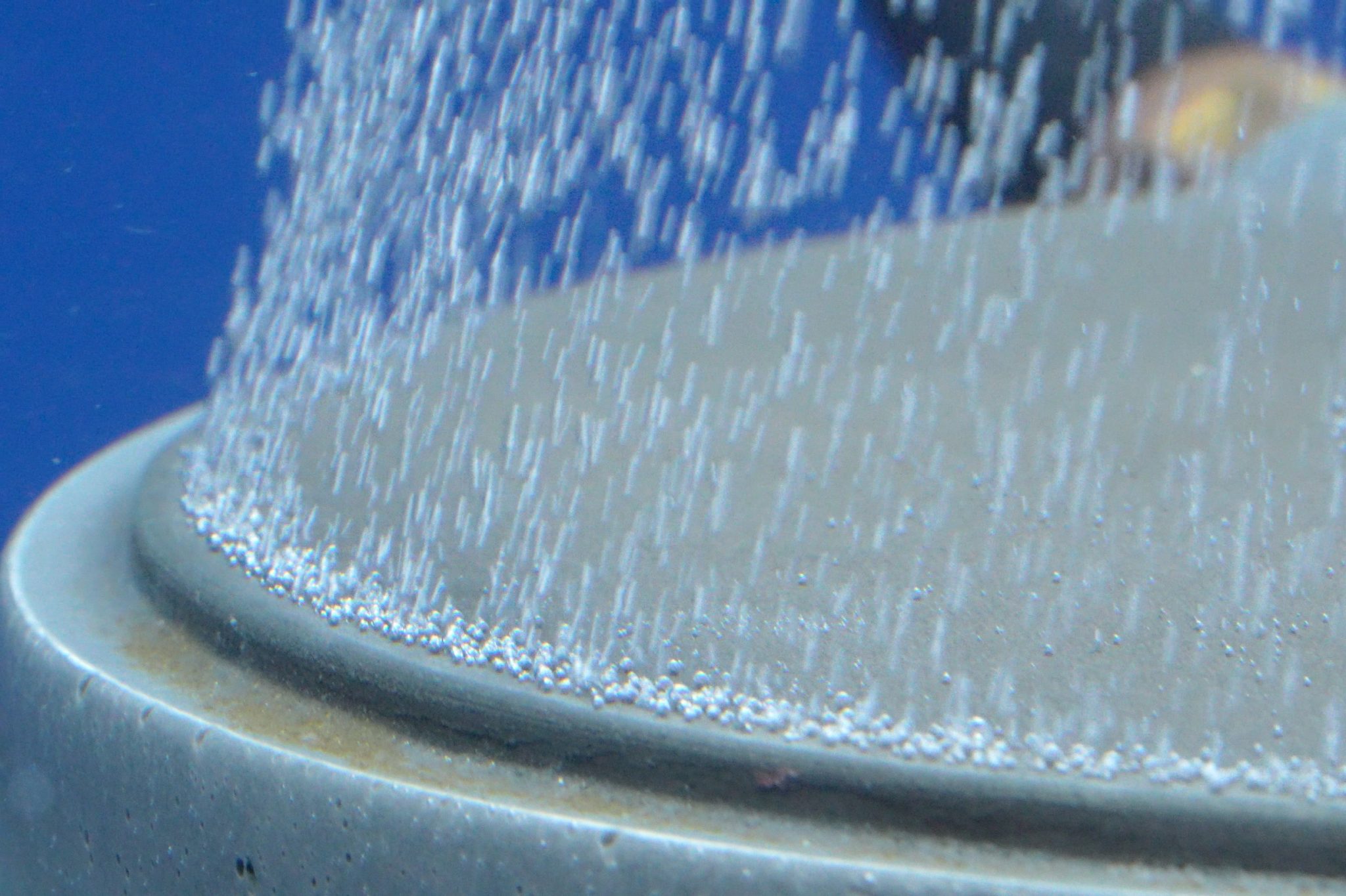 Advantage Oxygen System - Sacramento Koi