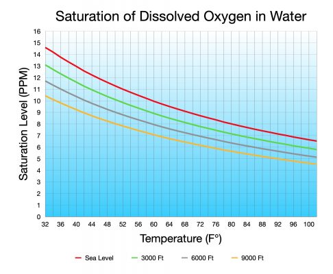 Oxygen Saturation - Sacramento Koi
