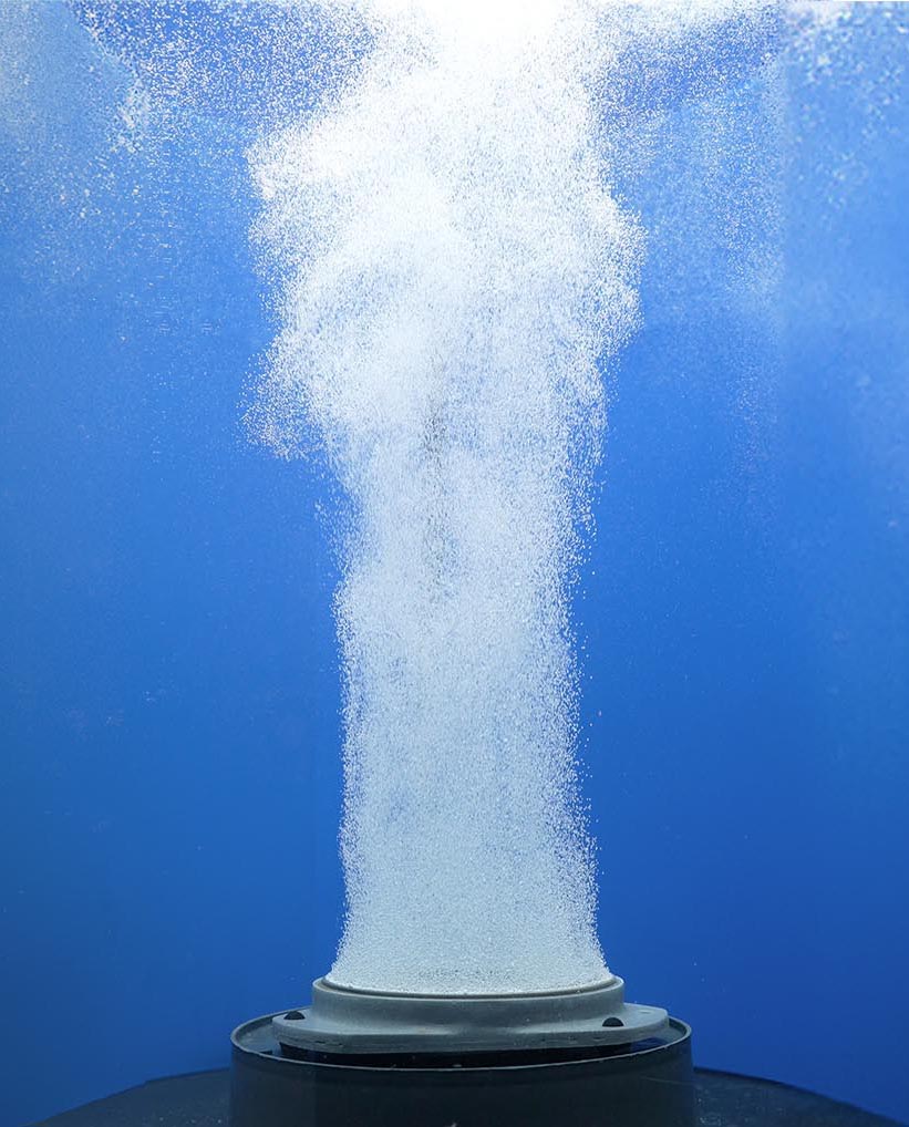 Advantage Oxygen System - Sacramento Koi